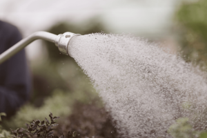 Business Water Retailer | Castle Water