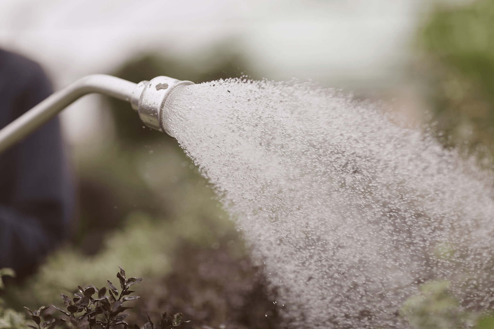 10 years of Castle Water | Castle Water